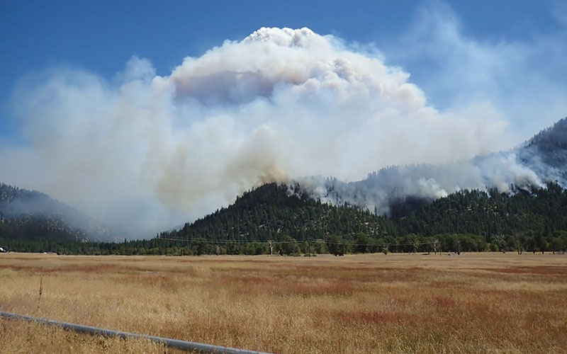 Walker Fire - Feather River Land Trust