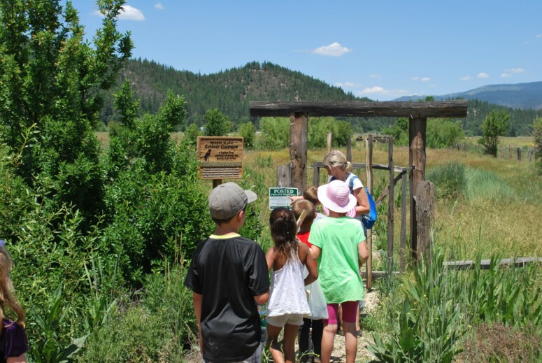 Kids in Nature Highlights 2022 - Feather River Land Trust
