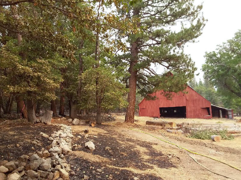 Ongoing Fire Recovery: 2022 Update | Feather River Land Trust